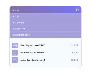 10 Autocomplete Search Best Practices - How Predictive Search Will ...